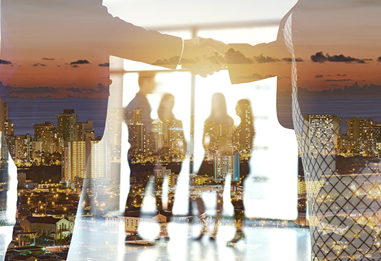 IRIS iDEAL for IFPR Reporting - Fin-X Solutions